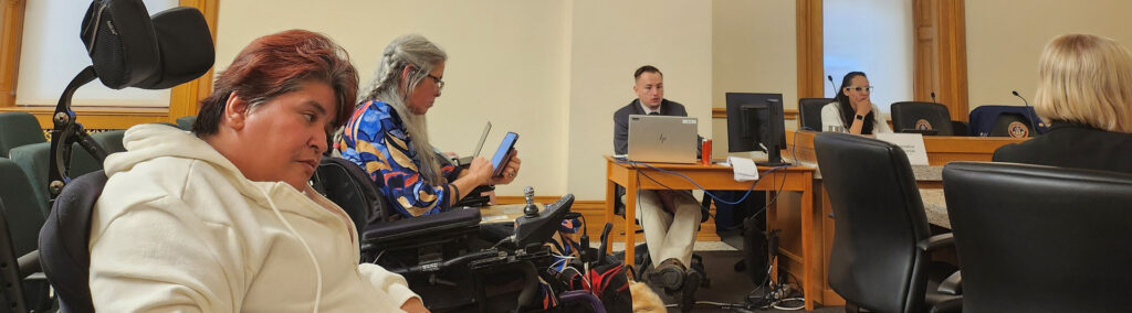 Our Work - Colorado Cross-Disability Coalition